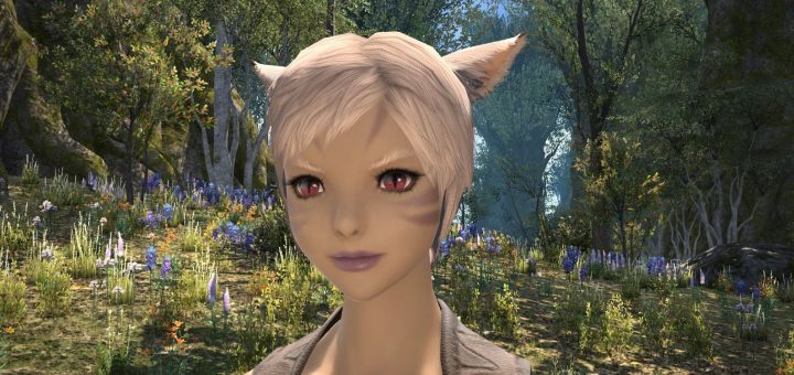 FFXIV Characters Mods | Final Fantasy 14 Characters Mods