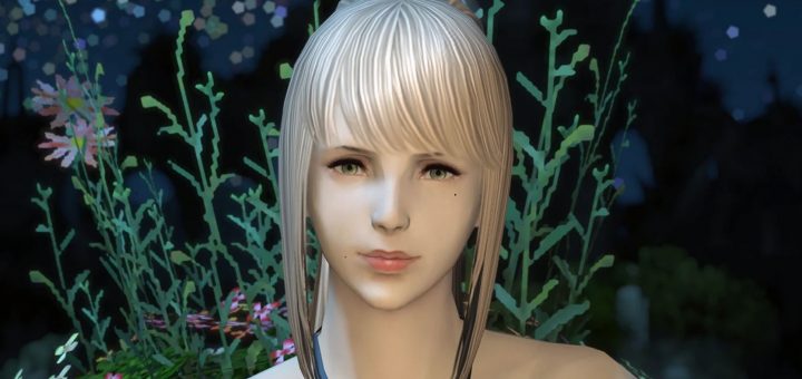 BiBoWVR Plus - ff14 Mods