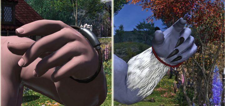 Lucian Prince's Jacket (TBSE) - ff14 Mods