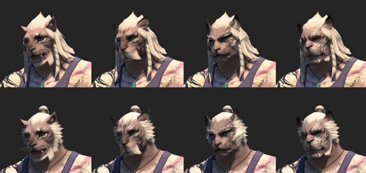 FFXIV Hair Mods | Final Fantasy 14 Hair Mods