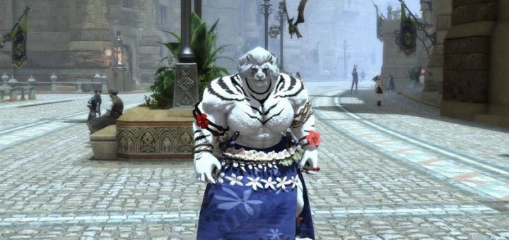 Summer Flame Top Archives - ff14 Mods
