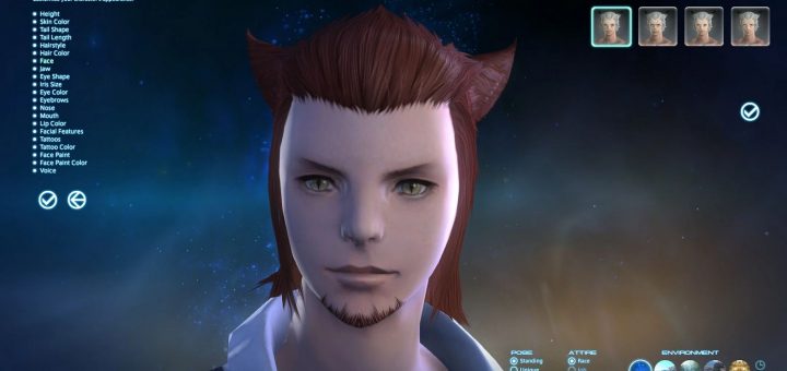 Male Miqo'te Tail Ribbons - ff14 Mods