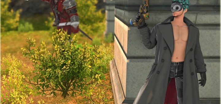 FFXIV Apparel Mods | Final Fantasy 14 Apparel Mods