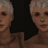 Semi-Realistic Face Textures - ff14 Mods