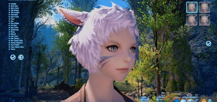 Secret Incubus - ff14 Mods