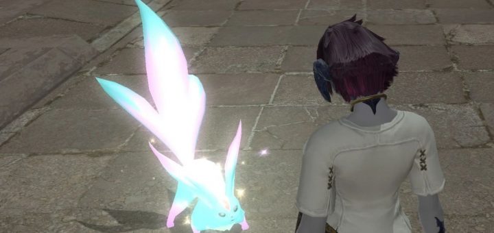 Ruby Carbuncle Archives - ff14 Mods